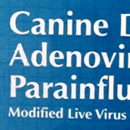 Canine Vaccines