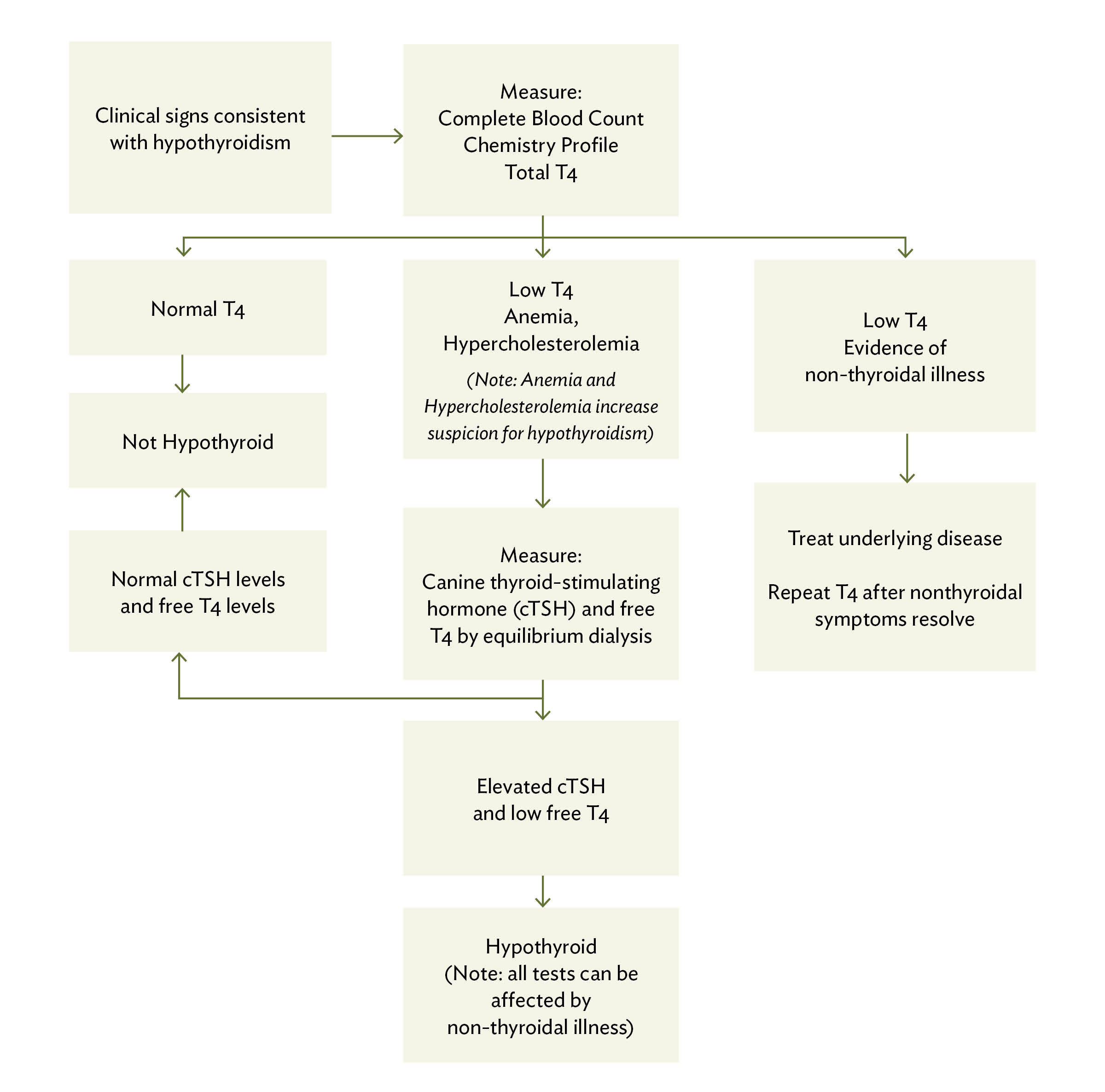 Diagnosis of Canine Hypothyroidism | atdove.org Diagnosis of Canine Hypothyroidism | atdove.org